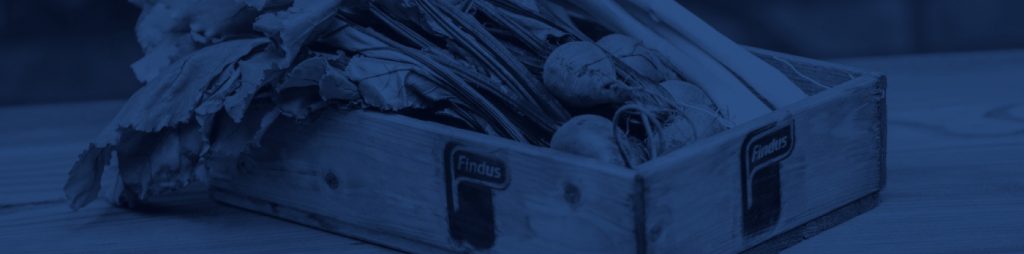 Misc Banner - Article - Nomad Foods