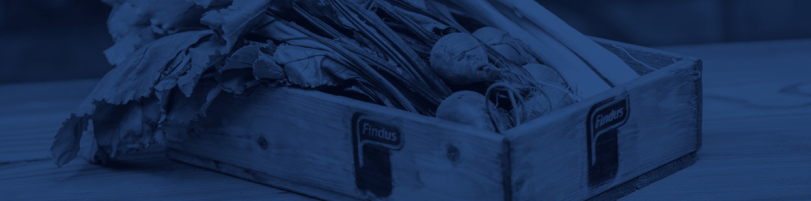 Misc Banner - Article - Nomad Foods