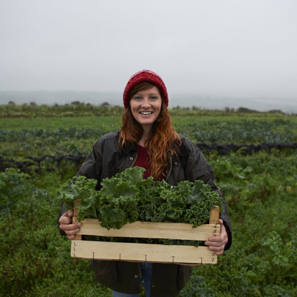 Catalogues - Nomad Foods